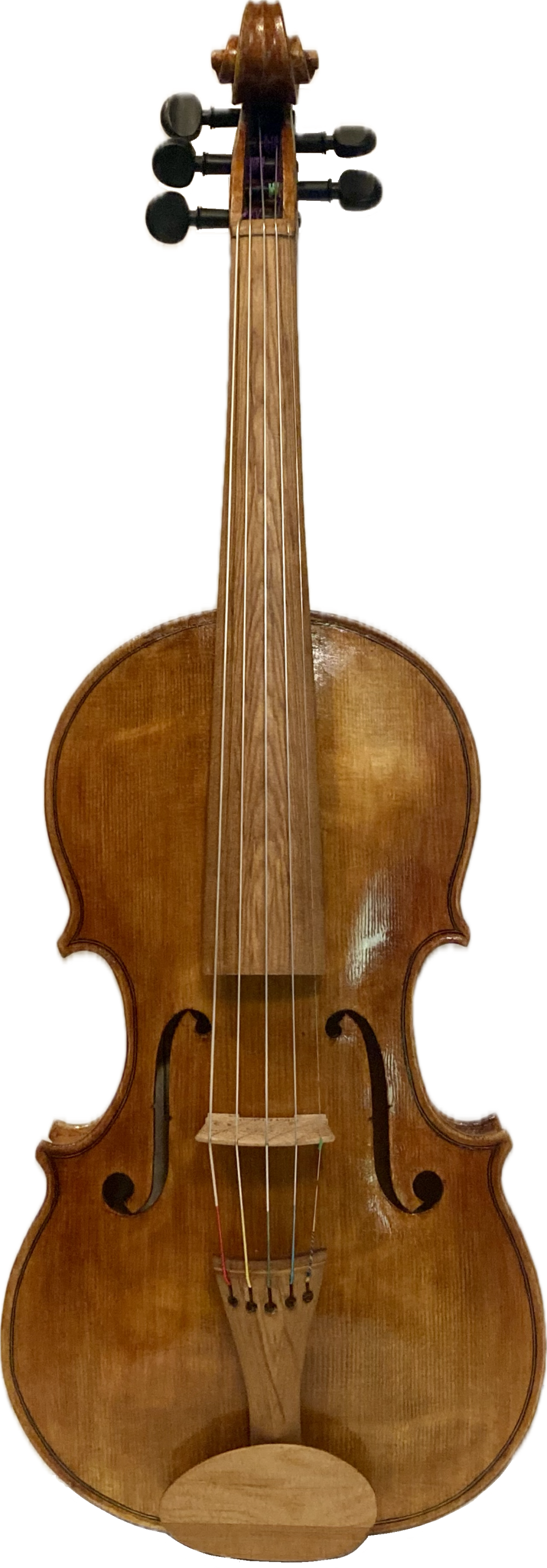 Front view | Five String Fiddles