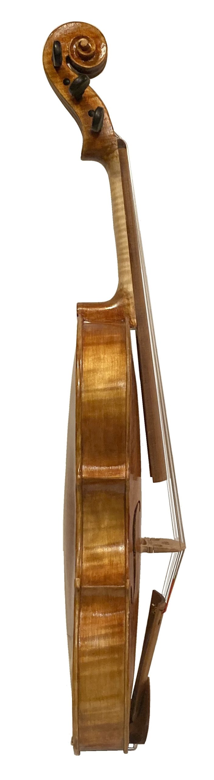 side | Five String Fiddles